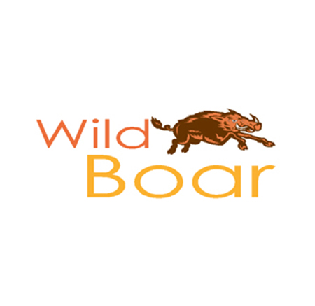 Website Design and Responsive Design Portfolio
